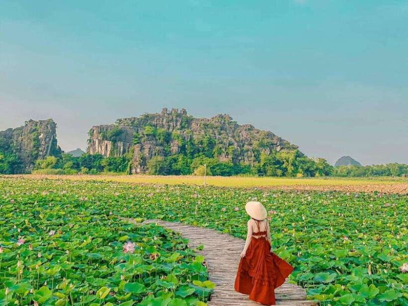 From Hanoi: 1-Day Tour Ninh Binh: Hoa Lu, Trang An, Hang Mua - The Sum Up