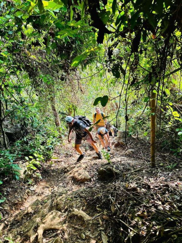 From Hanoi: 2-Day Adventure Cat Ba National Park, Lan Ha Bay - FAQs