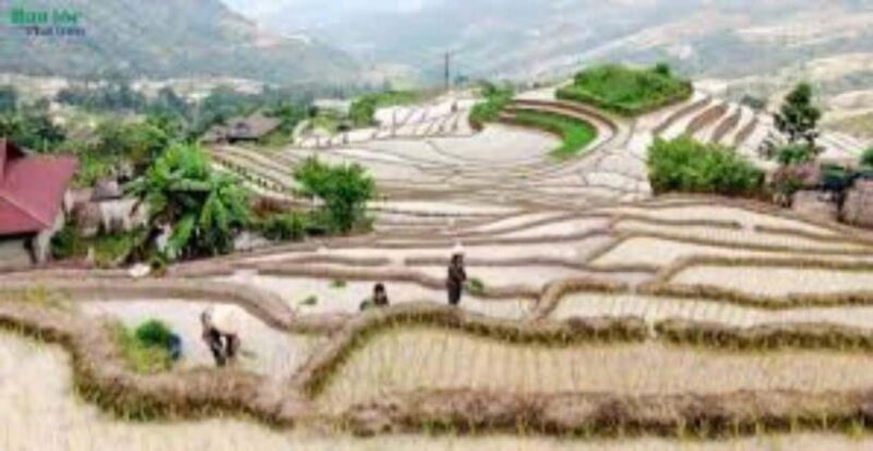 From Hanoi: 2-Day Ha Thanh Waterfall and Khuoi My Village - Key Points