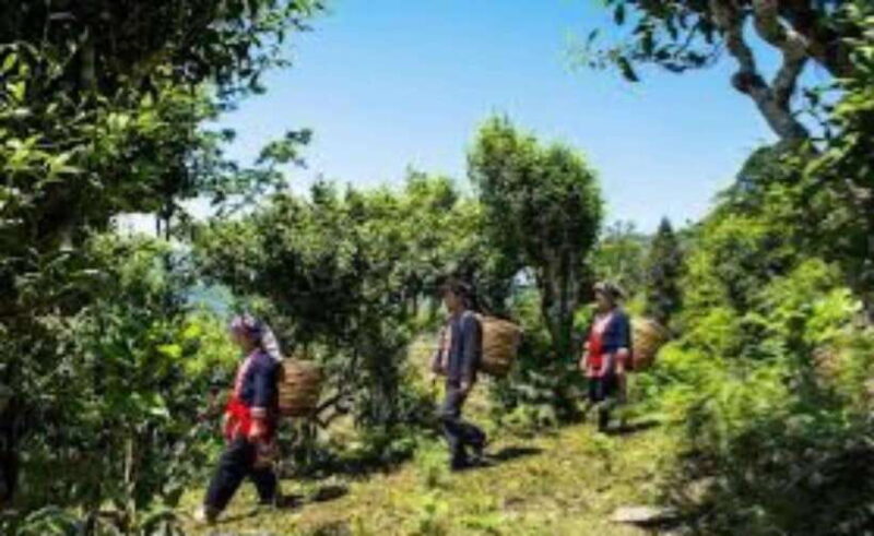 From Hanoi: 2-Day Ha Thanh Waterfall and Khuoi My Village - Who Is This Tour Best For?