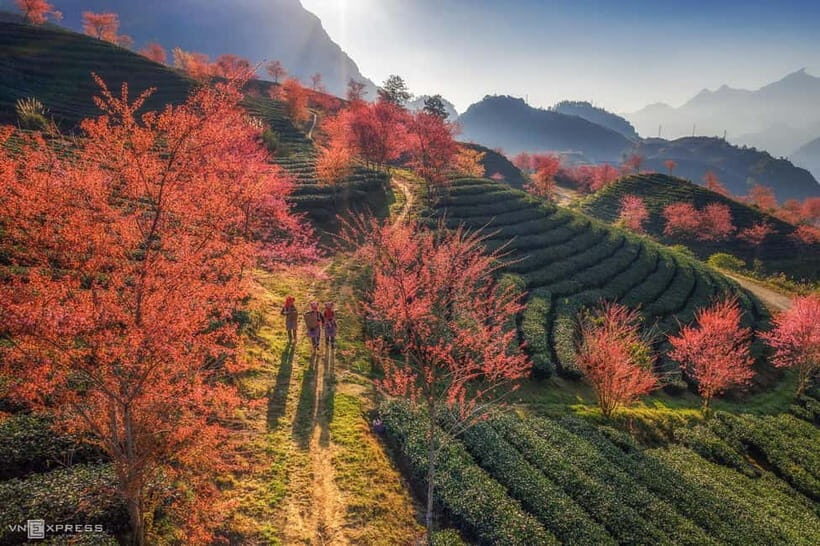 From Hanoi: 2-Day Luxury Sapa Trekking Tour with Homestay - Key Points