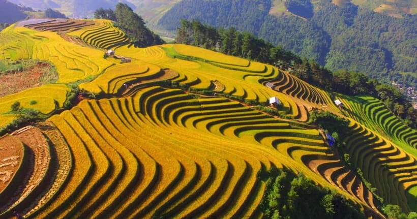From Hanoi: 2-Day Luxury Sapa Trekking Tour with Homestay - What’s Included and What to Expect