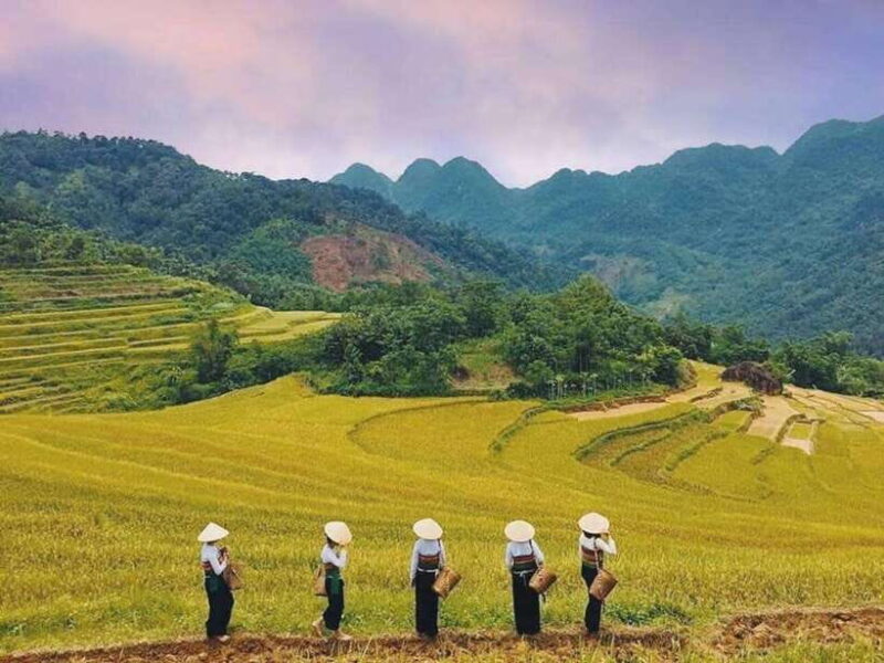 From Hanoi: 2-Day Mai Chau & Puluong Adventure - What This Tour Means for You