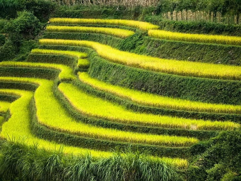 From Hanoi: 2-Day Mu Cang Chai and Khau Pha Pass Tour - FAQ
