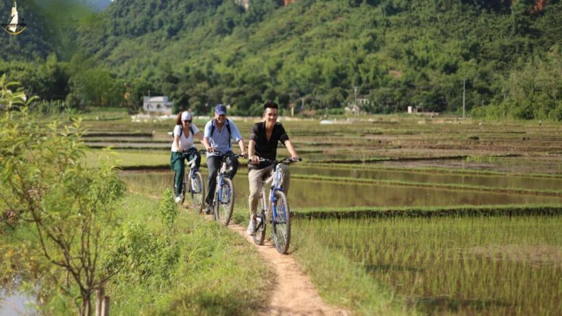 From Hanoi: 2-Day Ninh Binh Tour with Ha Long Bay Cruise - FAQ: Your Practical Questions Answered