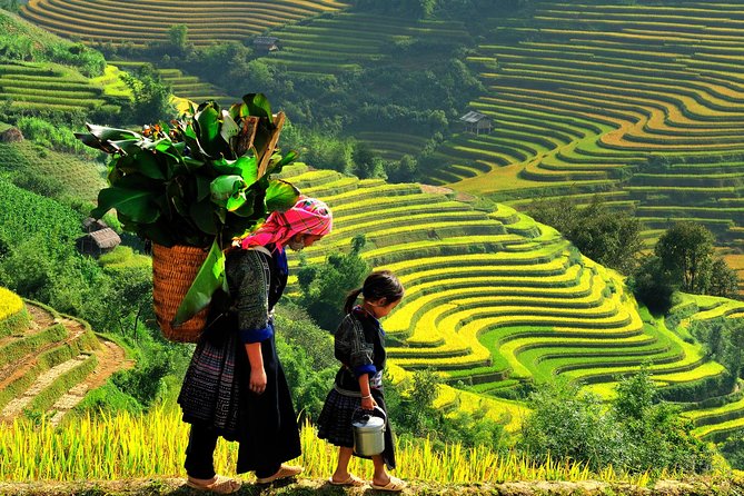 From Hanoi: 2-Day Overnight Sapa Tour by Luxury Van Limousine - Scenic Highlights and Cultural Encounters