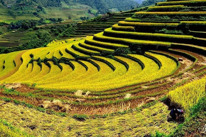 From Hanoi: 2-Day Overnight Sapa Tour by Luxury Van Limousine - Meal and Accommodation Quality