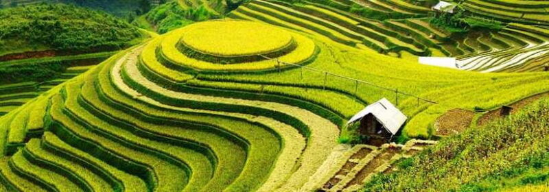 From Hanoi: 2-Day Pu Luong Nature Reserve Tour - Transportation and Group Size