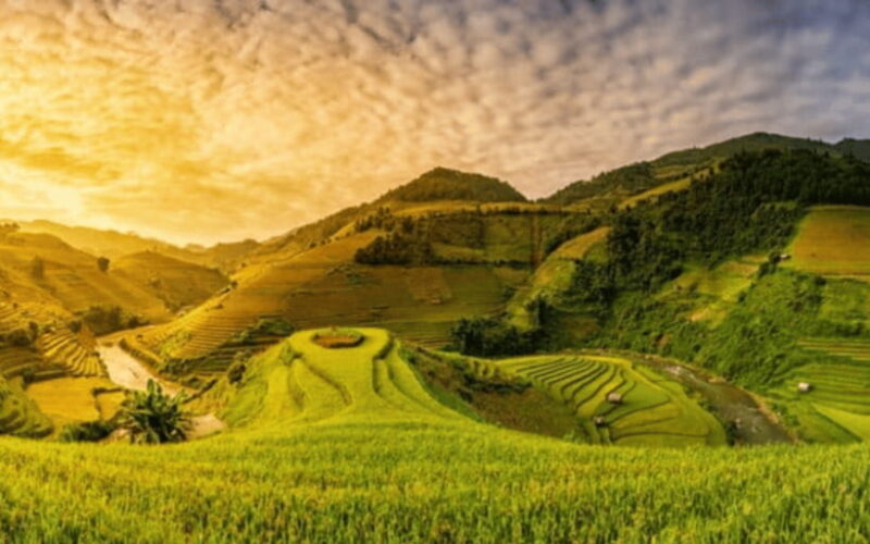 From Hanoi: 2-Day Sapa and Ham Rong Mountain Tour - Transportation and Accommodation