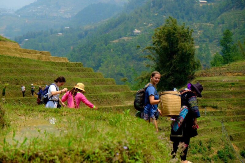 From Hanoi: 2-Day Sapa, Fansipan, and Muong Hoa Valley Tour - A Closer Look at the Itinerary