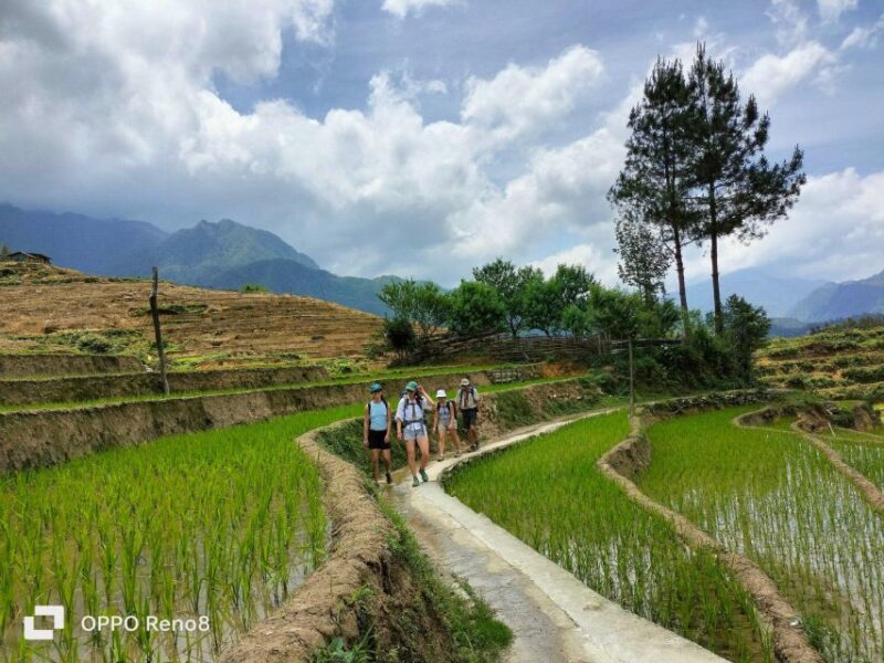 From Hanoi: 2-day Sapa Trek& Overnight in cosy ethnic family - Summary