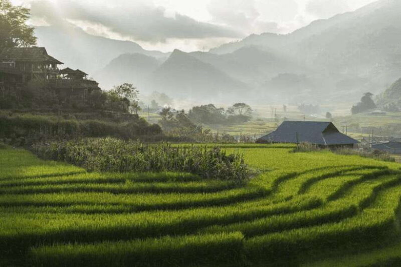 From Hanoi: 2-Day Sapa Trekking Cat Cat & Ta Van Village - FAQ