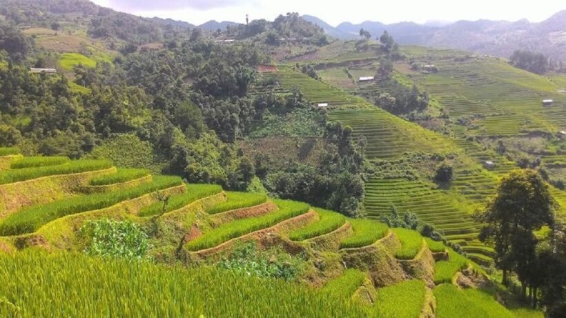 From Hanoi: 2 Day Sapa Trekking To Village & Bungalow, Meals - Final Thoughts