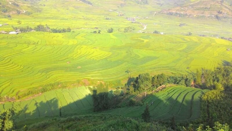 From Hanoi: 2 Day Sapa Trekking To Village & Bungalow - Key Points