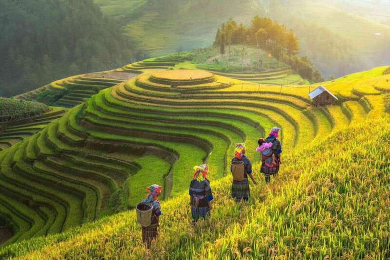 From Hanoi: 2-Day Sapa Trekking Tour (Sleep at hotel) - Who Will Love This Tour?