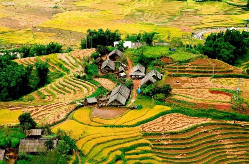 From Hanoi: 2-Day Sapa Trekking Trip with Homestay & Meals - A Detailed Look at the Sapa 2-Day Experience