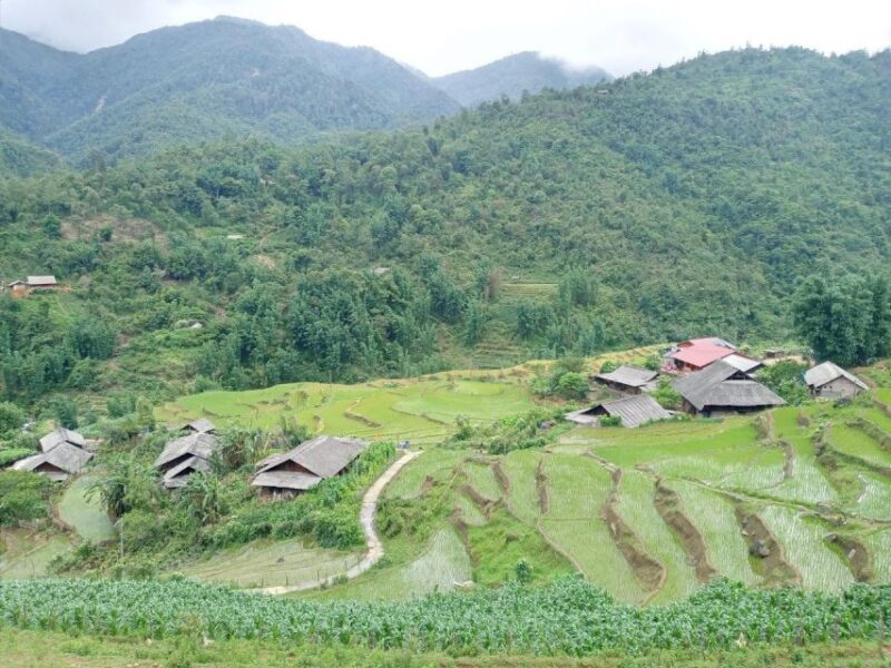 From Hanoi: 2-Day Sapa Trekking Trip with Homestay & Meals - What Makes This Tour Stand Out?