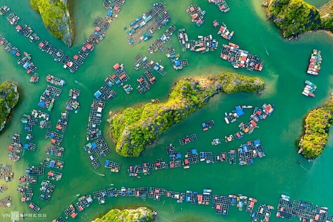 From Hanoi: 2 Days 1 Night Cat Ba National Park, Lan Ha Bay - The Sum Up