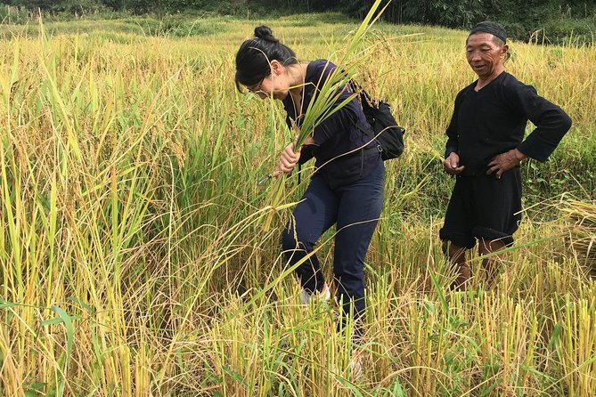 From Hanoi: 2 Days Sapa Trek & Fansipan Adventure with Dcar - The Real Experience: Pros and Cons