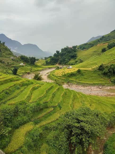 From Hanoi: 2-Days Sapa Trek Lao Chai/Cat Cat, Fansipan Peak - Who Will Love This Tour