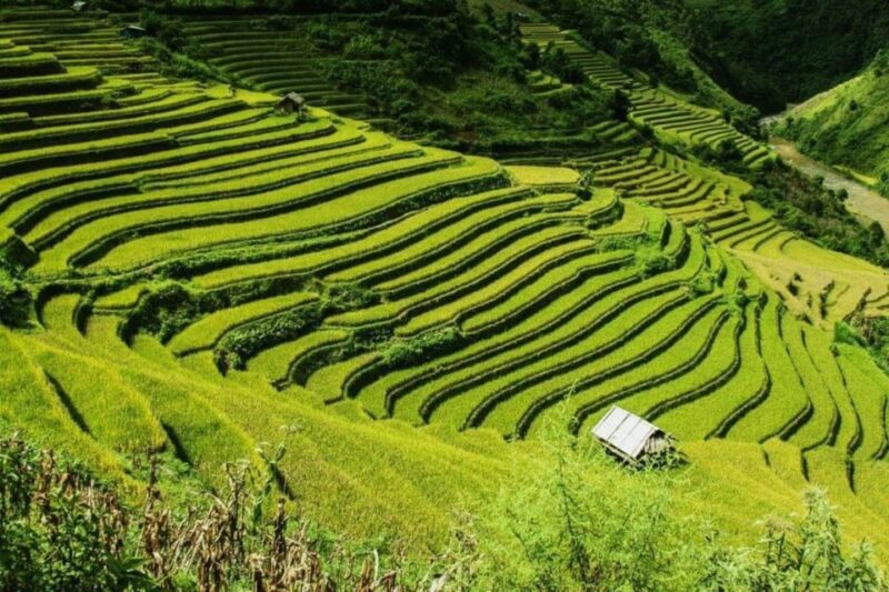 From Hanoi: 2-Days Sapa Trekking Tour Lao Chai and Cat Cat - Key Points