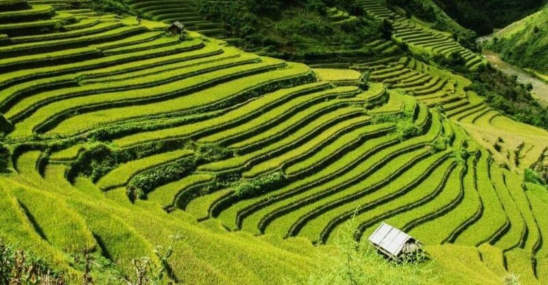 From Hanoi: 2-Days Sapa Trekking Tour Lao Chai and Cat Cat - Second Day: Trekking Through Rice Terraces and Ethnic Villages