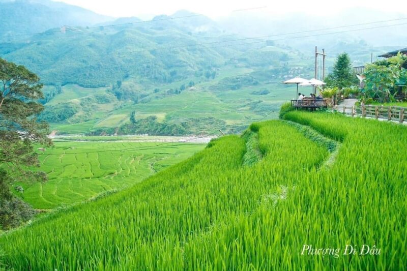 From Hanoi: 2-Days Sapa Trekking Tour Lao Chai and Cat Cat - Authenticity and Cultural Encounters