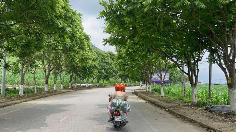 From Hanoi: 3-Day Ha Giang Loop Adventure with Bus Transfers - Final Thoughts