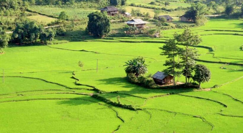 From Hanoi: 3-Day Motorbike Ha Giang Loop with Easy Rider - Final Thoughts: Who Should Book This Tour?