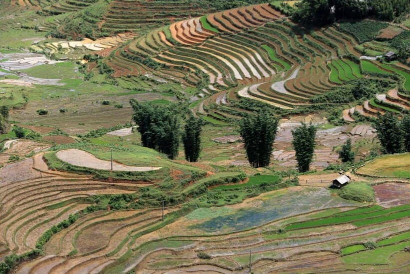 From Hanoi: 3-Day Mu Cang Chai and Sapa Tour with Fansipan - The Real Travel Experience