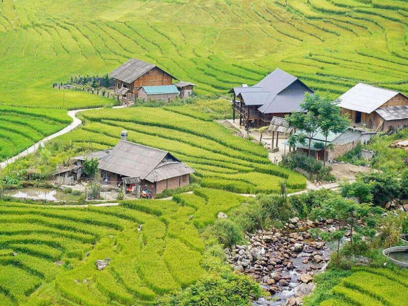 From Hanoi: 3-Day Sapa, Fansipan, Ninh Binh Tour with Meals - Transportation and Value