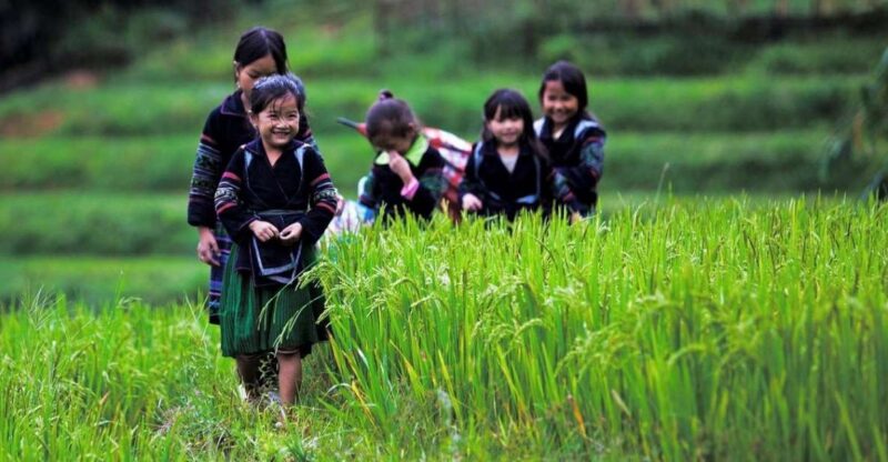 From Hanoi: 3-Day Sapa Trek with Guide, Homestay and Meals - What Makes This Tour Stand Out?