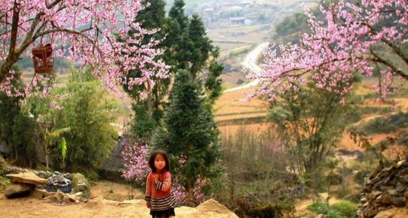 From Hanoi: 3-Day Sapa Trek with Guide, Homestay and Meals - Detailed Breakdown of the Itinerary