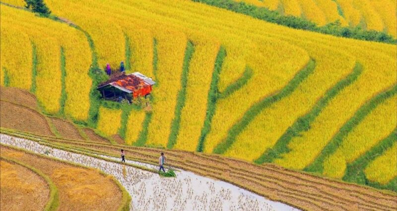 From Hanoi: 3-Day Sapa Trek with Guide, Homestay and Meals - Authenticity and Reviews