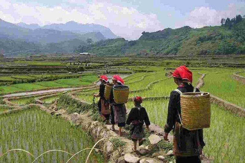 From Hanoi: 3-Day Sapa Trek with Guide, Homestay and Meals - Practical Tips for Travelers