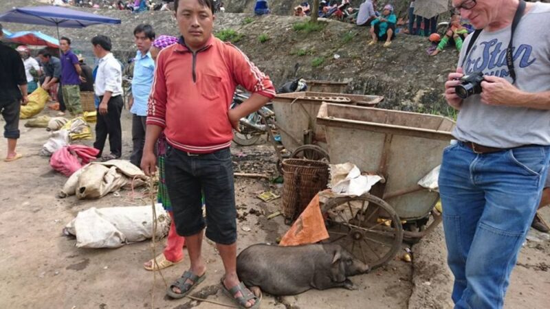 From Hanoi: 3-Day Sapa Trekking Trip with Meals and Homestay - What Travelers Can Expect