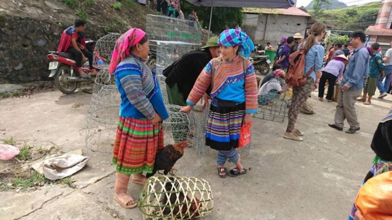 From Hanoi: 3-Day Sapa Trekking Trip with Meals and Homestay - Frequently Asked Questions