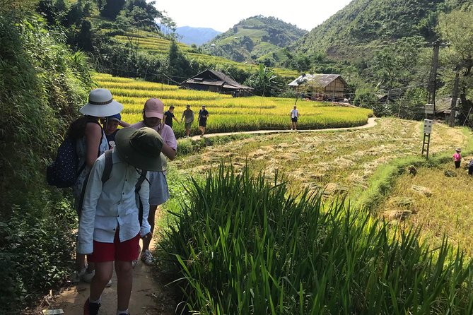 From Hanoi: 3 Days Luxury Sapa Trek & Fansipan Peak with Dcar - Final Thoughts