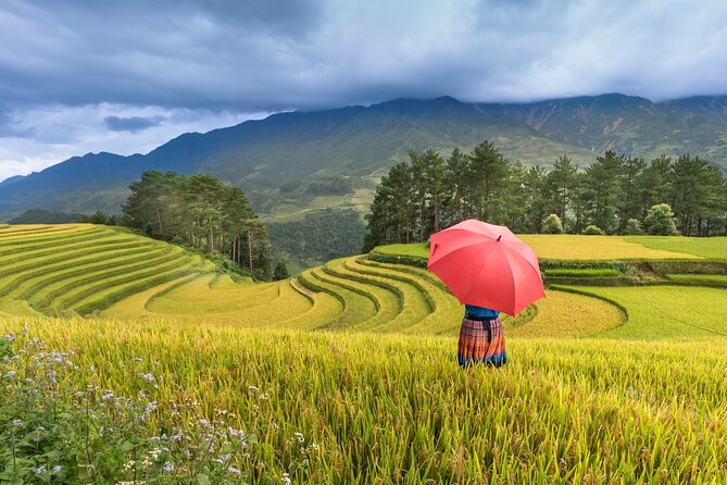 From Hanoi: 3 Days Sapa Trekking & Ethnic Villages by Dcar - The Sum Up