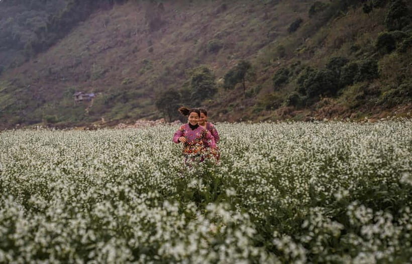 From Hanoi: 4-Day Moc Chau Tea Plantation and Waterfall Tour - Discovering the Beauty of Moc Chau