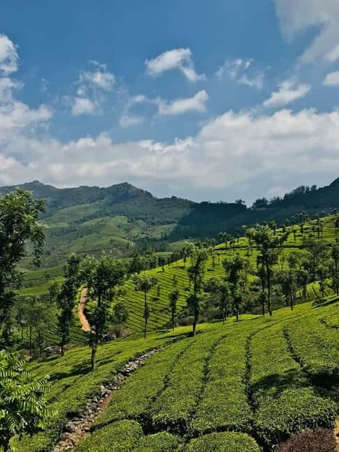 From Hanoi: 4-Day Moc Chau Tea Plantation and Waterfall Tour - FAQs