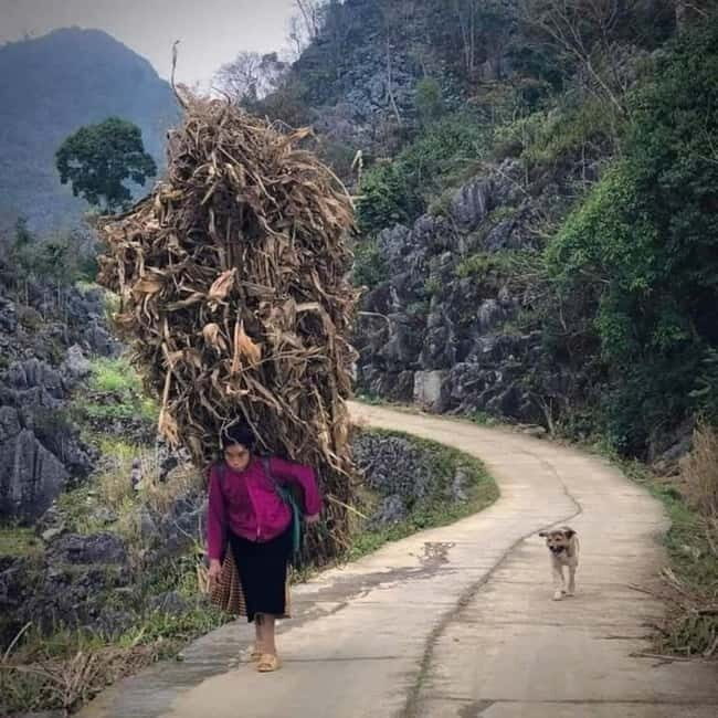 From Hanoi: 5-Day Ha Giang, Cao Bang, Ban Gioc Waterfall - An In-Depth Look at the Itinerary
