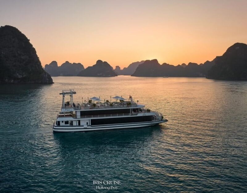 From Hanoi: BEST Ha Long Bay Tour on 5-Star Pamela Cruise - Key Points