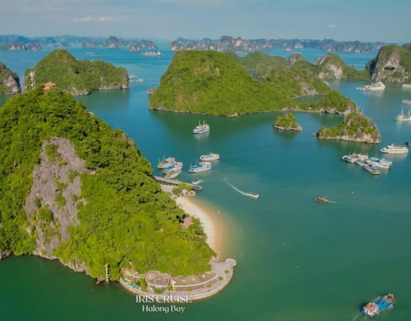 From Hanoi: BEST Ha Long Bay Tour on 5-Star Pamela Cruise - What Makes This Tour Special?