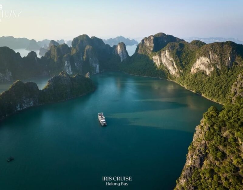From Hanoi: BEST Ha Long Bay Tour on 5-Star Pamela Cruise - Authentic Experiences and Guest Insights