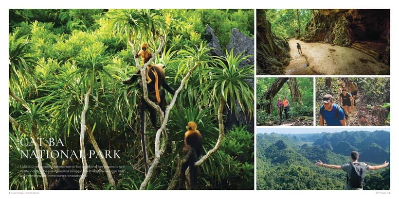 From Hanoi: Cat Ba Island 2-Day Tour with Trekking - Who Will Appreciate This Tour?