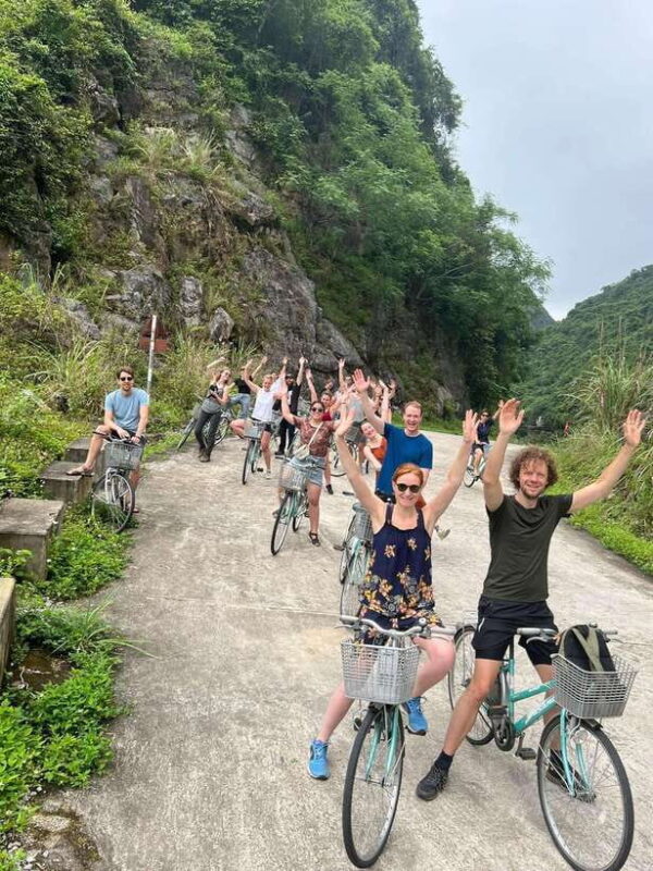 From Hanoi: Cat Ba Island and Lan Ha Bay Day Trip with Lunch - The Value and Real-World Feedback