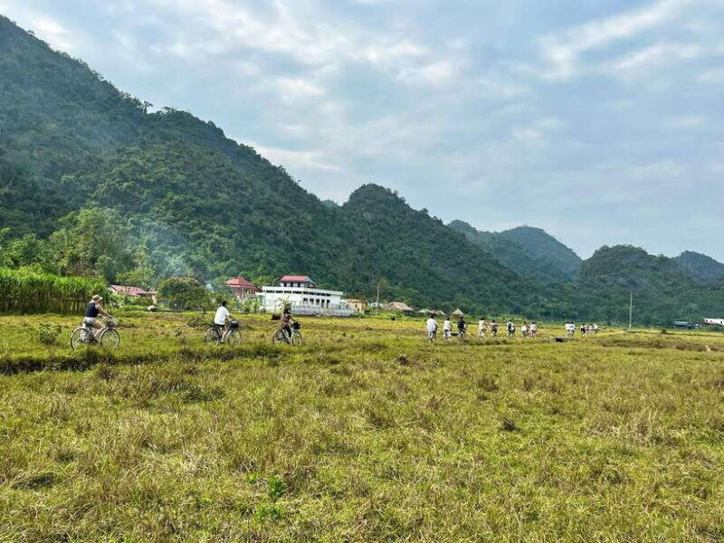 From Hanoi/Cat Ba: Lan Ha Bay Day Trip with Cruise and Lunch - Itinerary Breakdown: What to Expect