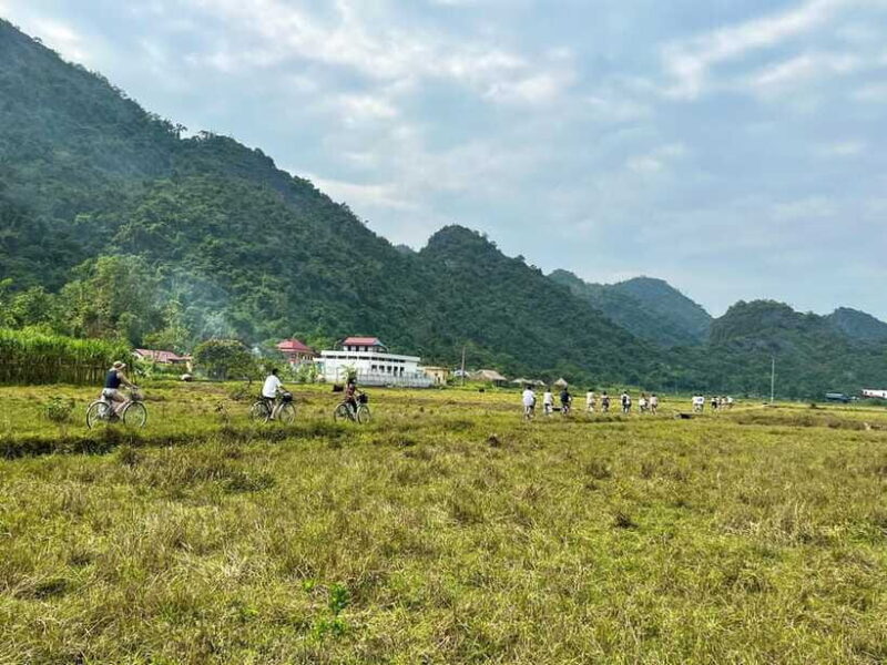 From Hanoi/Cat Ba: Lan Ha Bay Day Trip with Cruise and Lunch - Authentic Experiences and Practical Tips