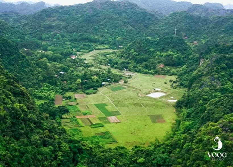 From Hanoi: Discover Cat Ba - Green Island - Deep Dive into the Experience